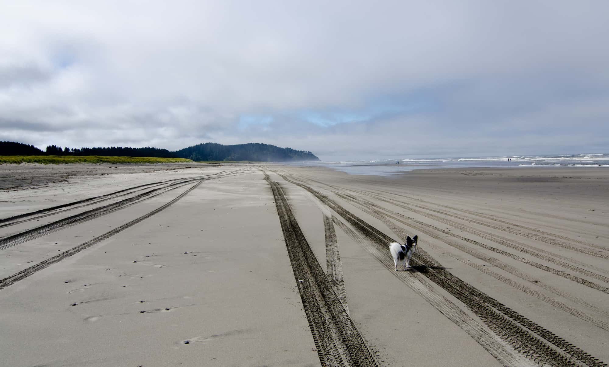 Washington Coast Road Trip- 5 Epic Destinations for Families