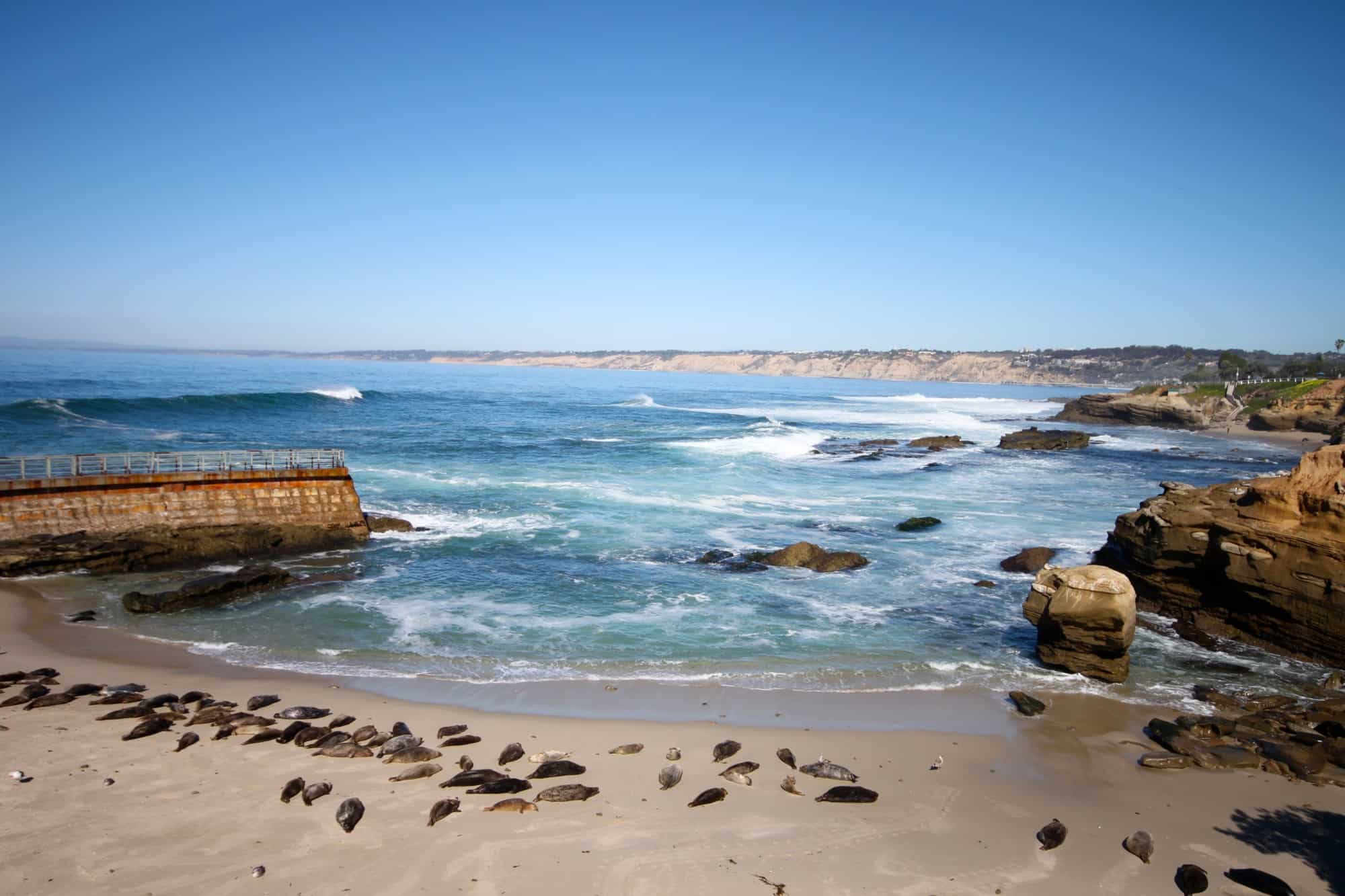 The 8 Best California Tide Pools For Families To Explore The 8 Best California Tide Pools For Families To Explore