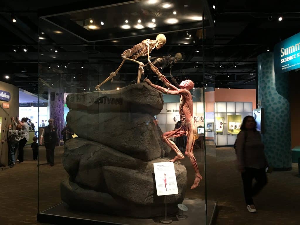 Top 10 Totally Fun Things to do in Denver with kids