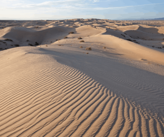25 FUN Things to do in Yuma, Arizona