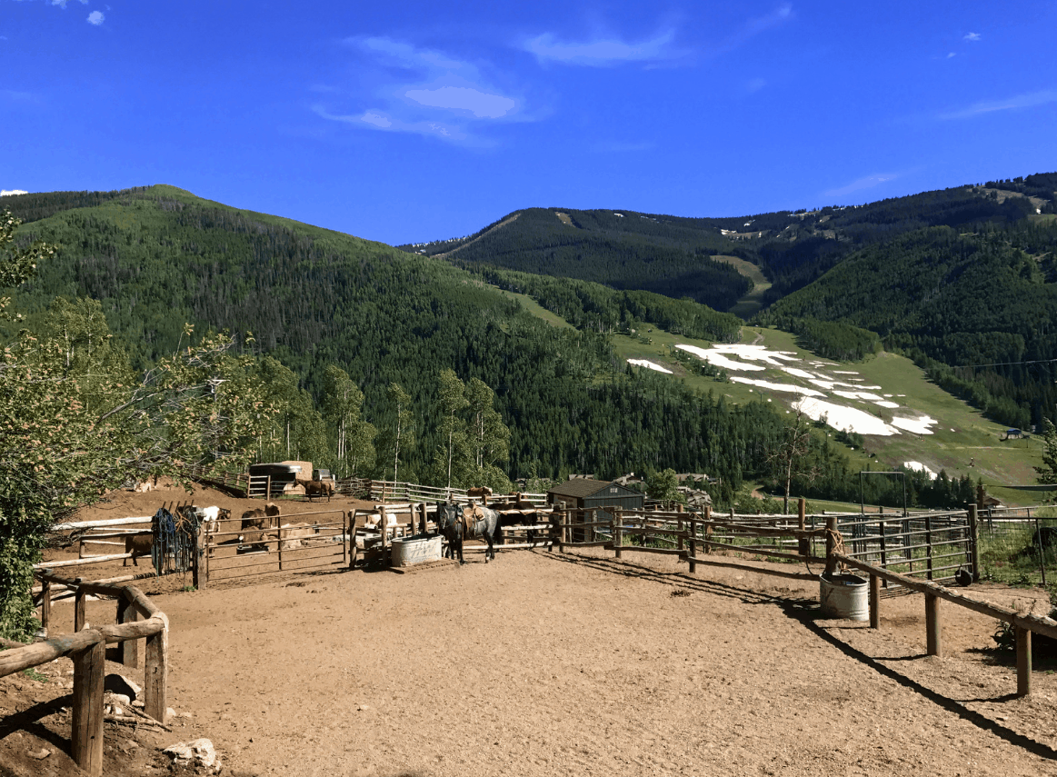 17 Fun Things to do in Vail in Summer - Vail Family Vacation