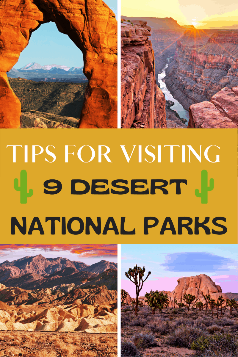 Visiting 9 Desert National Parks in Utah, Arizona & California