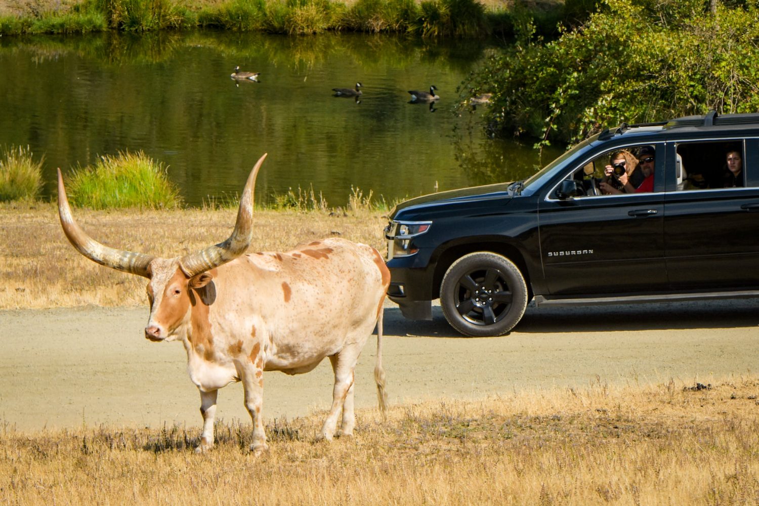 20 Fun Things to do in Oregon with Kids- Oregon family Vacation