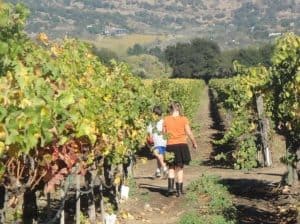10 Fun Things to do in Napa with Kids