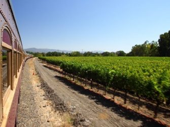 10 Fun Things to do in Napa with Kids