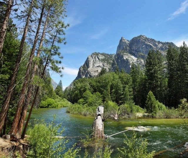 The 15 Best National Parks in California