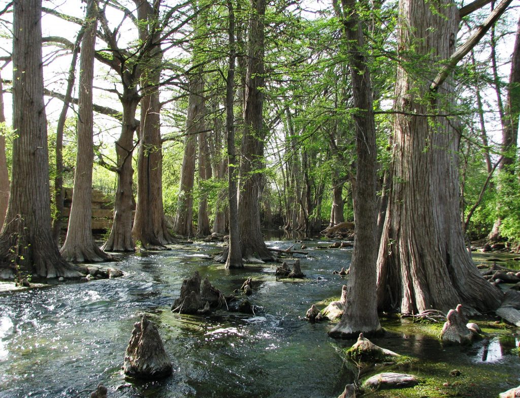 The Ultimate 5 Day Texas Hill Country Road Trip