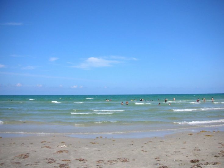 The 10 Best Beaches in Texas for Families to Visit