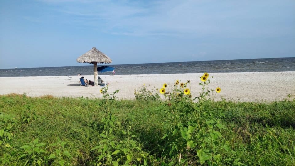 The 10 Best Beaches in Texas for Families to Visit