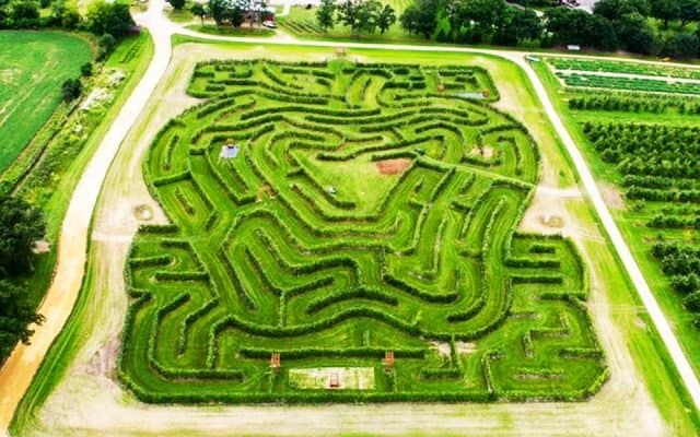 10 Terrific Pumpkin Patches in Chicago and Beyond for 2025