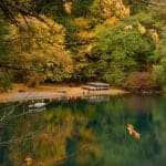 10 Great Places to See Fall Colors in Washington State 2025