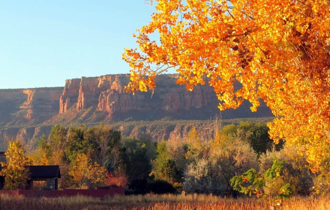 15 Best Places to See Fall Foliage in Colorado (2025)