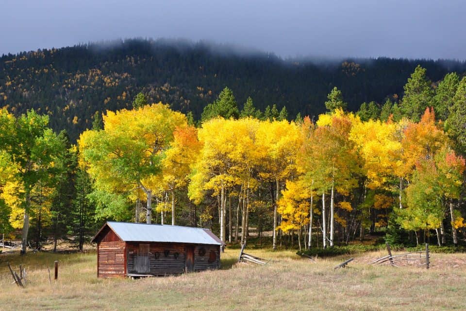 15 Best Places to See Fall Foliage in Colorado (2025)