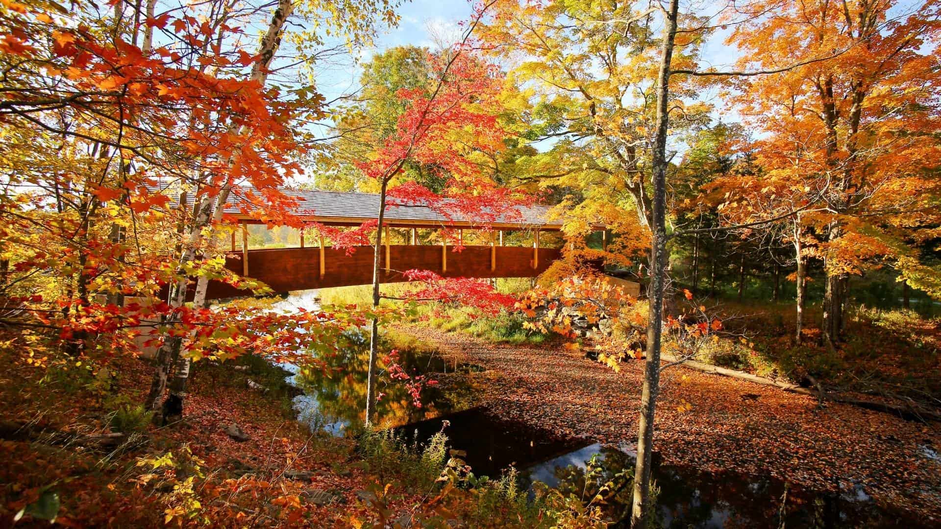 New York Fall Foliage 17 Places To Enjoy Fall Colors In NY New York Fall Foliage 17 Places To Enjoy Fall Colors In NY