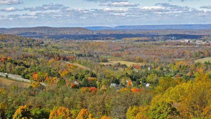 13 Best Places to See New Jersey Fall Foliage in 2025