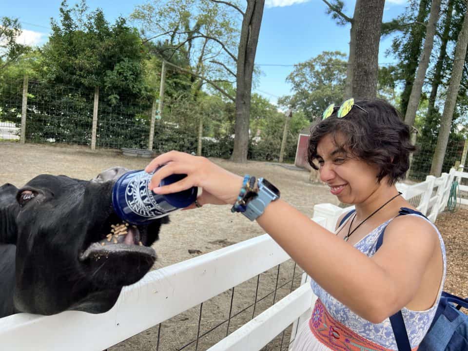 Over 20 Fun Things to do in Virginia Beach with Kids on Vacation