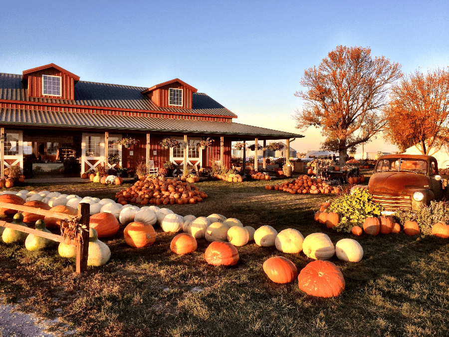 The 8 Best Pumpkin Patches in Iowa for 2024