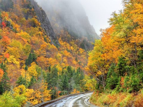 New Hampshire Fall Foliage 2025: 12 Best Places for Peak Colors