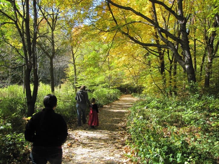 Minnesota Fall Colors 2025: The 25 Best Spots & Peak Times