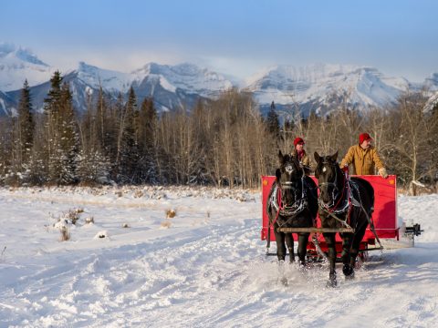9 Enchanting Banff Christmas Events for 2024