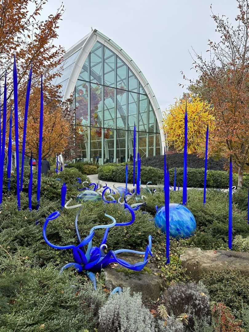 Seattle Fall Colors 2025: 14 Best Spots & Peak Dates
