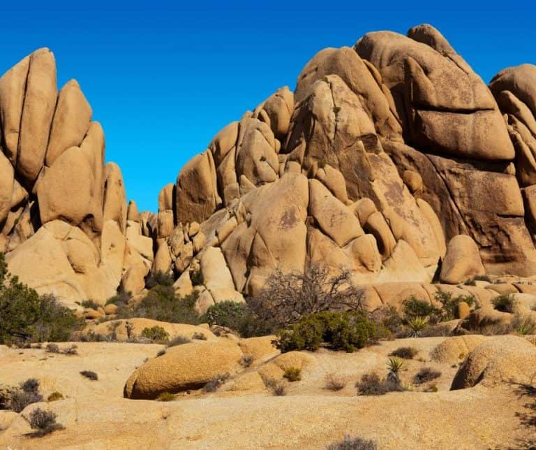 The Best Things to do in Joshua Tree NP Plus Tips for Your Trip!