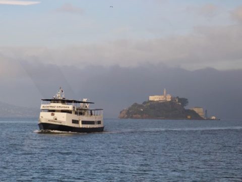 35 Cool Outdoor Activities in the Bay Area for Families