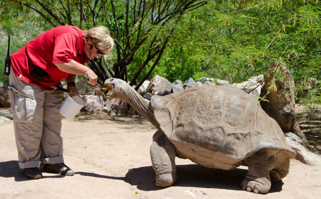 15 Amazing Outdoor Activities in Phoenix
