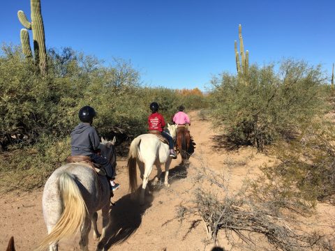 15 Amazing Outdoor Activities in Phoenix