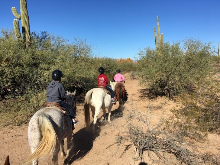 15 Amazing Outdoor Activities in Phoenix