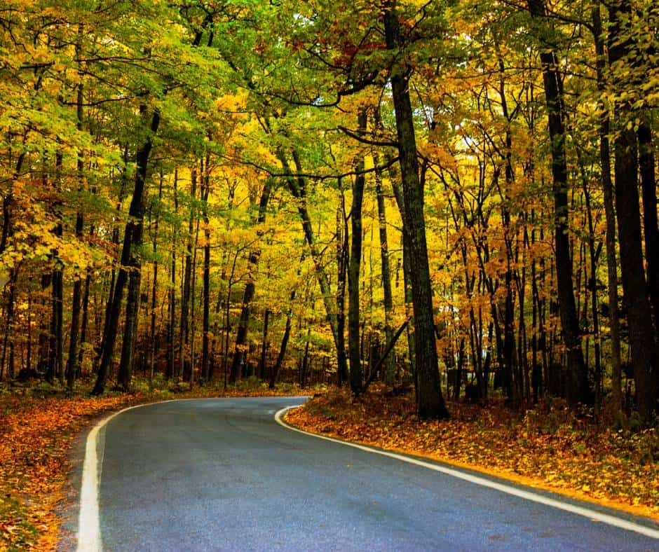Michigan Fall Foliage- 12 Places for Fall Colors in Michigan
