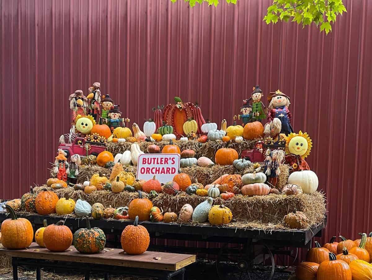 The 10 Best Pumpkin Patches in Maryland for 2024