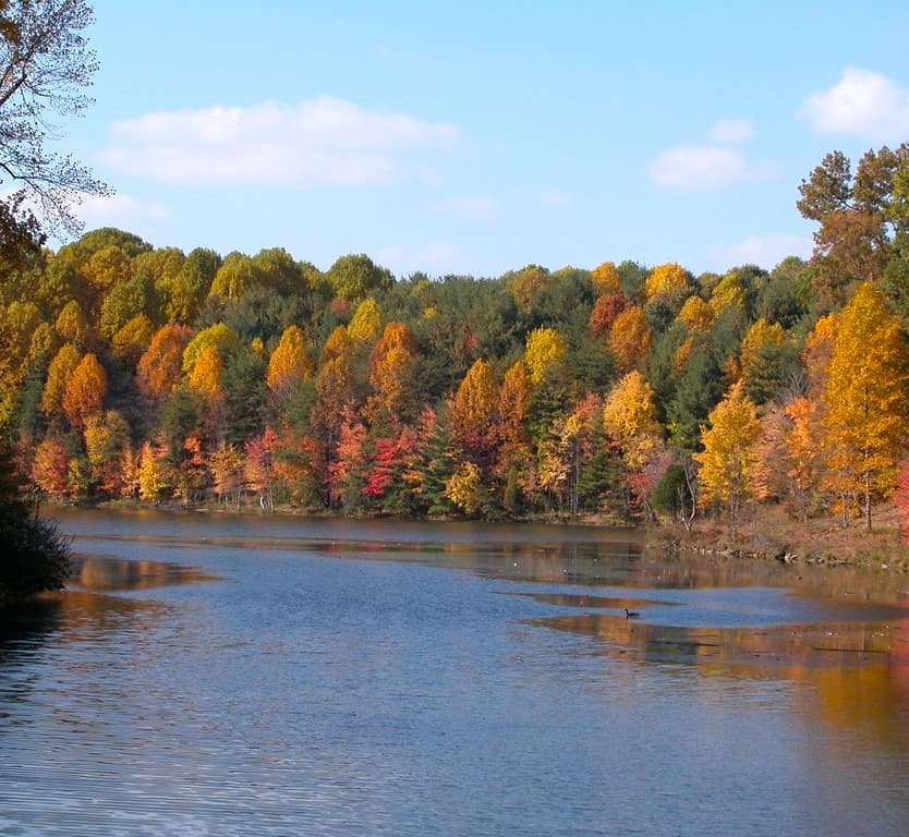 Fall Foliage in Maryland- 10 Top Places to Enjoy the Season