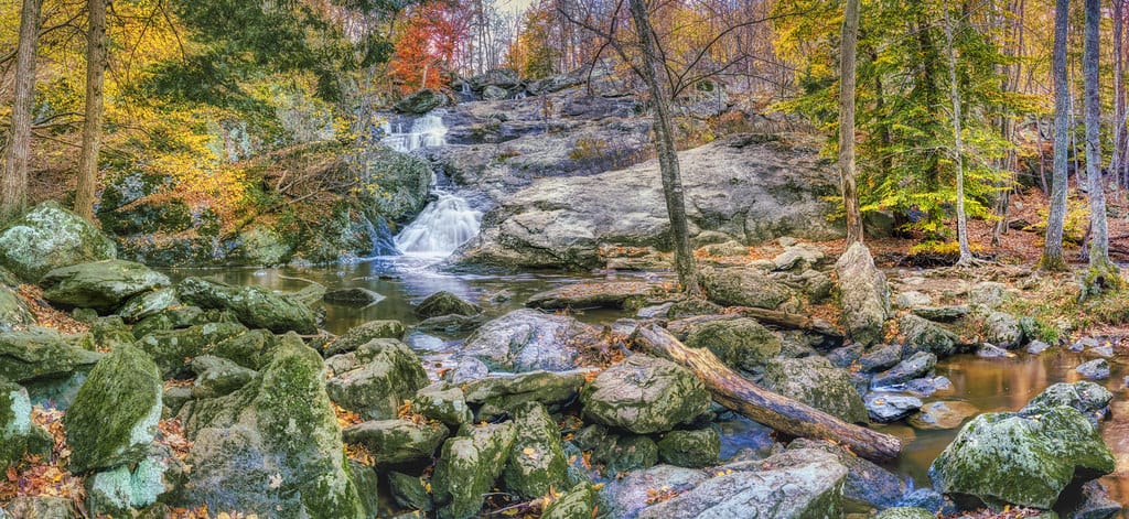 12 Best Places to See Maryland Fall Foliage in 2025