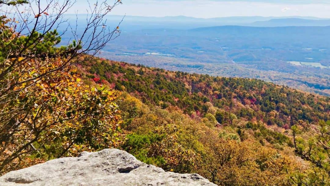 Fall in Virginia- 15 Spots to Enjoy Virginia Fall Colors 2025
