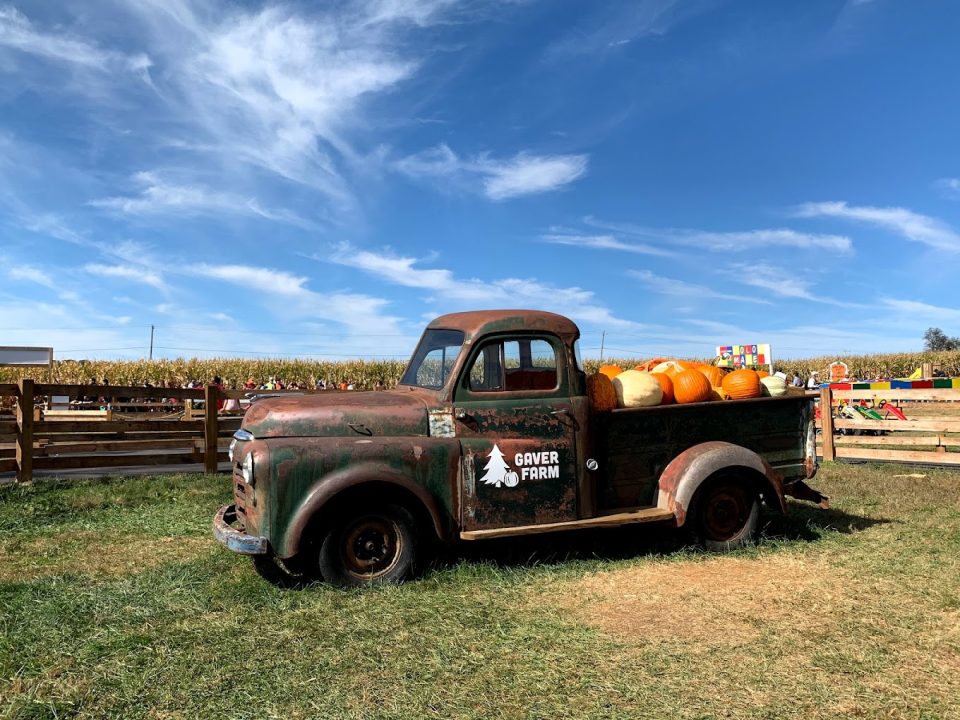 The 10 Best Pumpkin Patches in Maryland for 2024