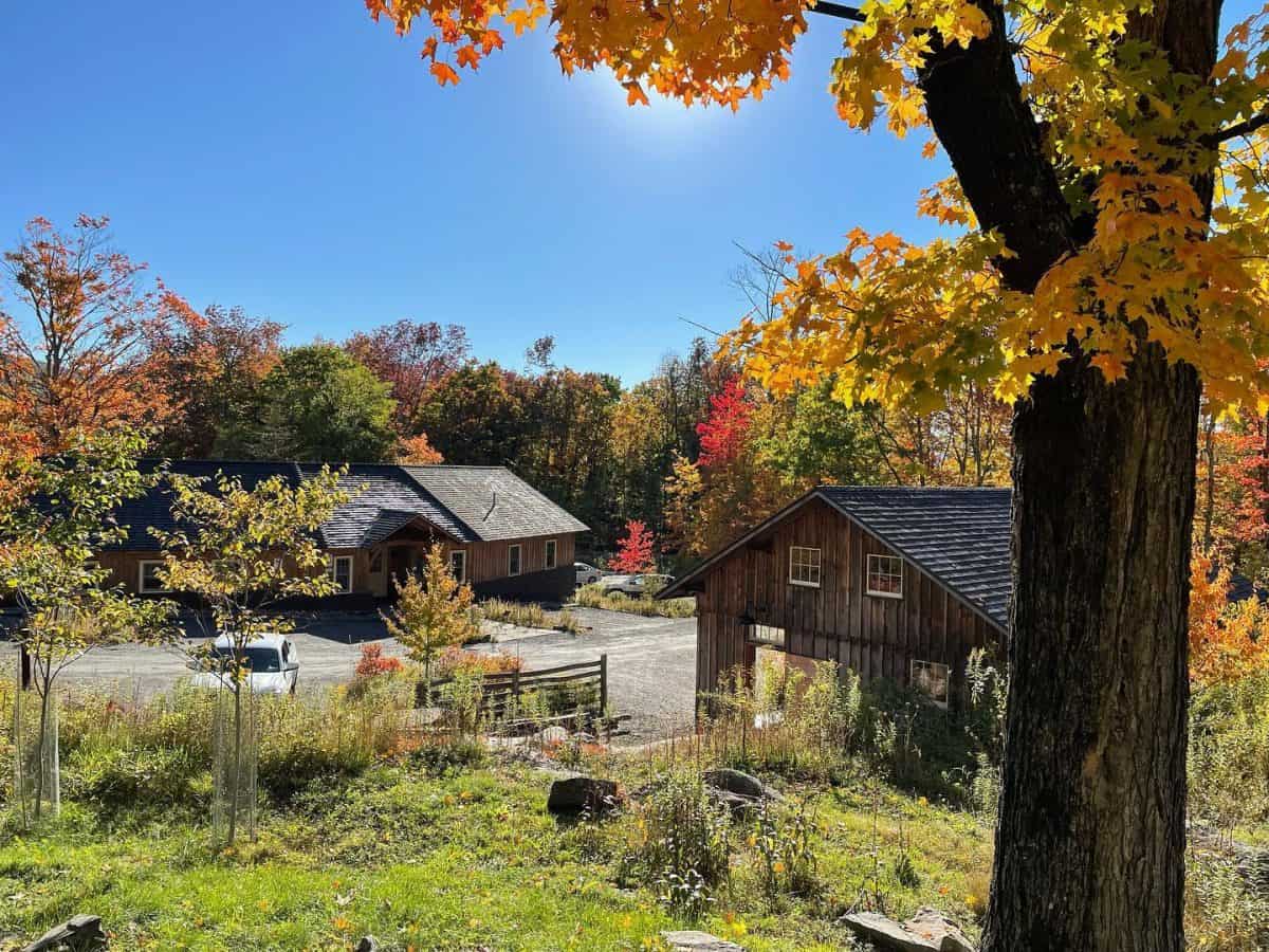 12 Best Places to See Catskills Fall Foliage in 2025