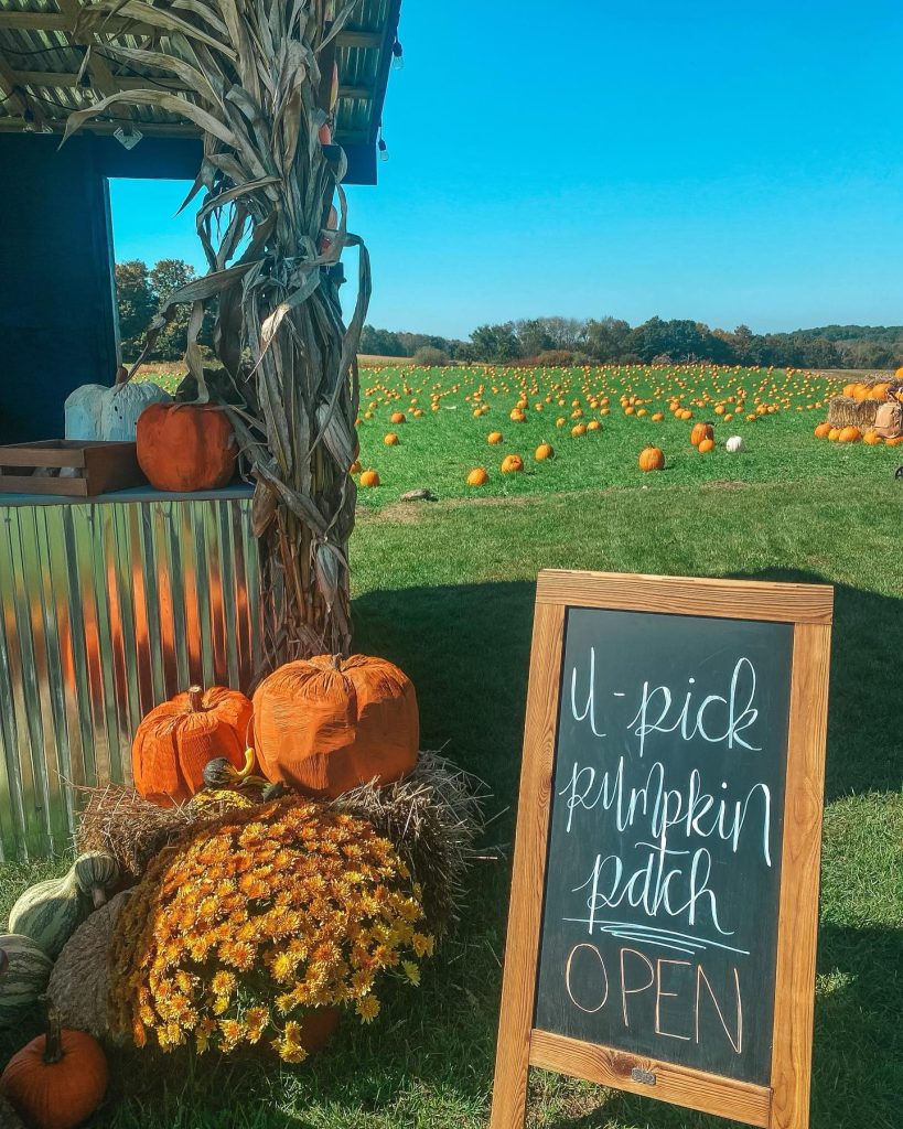 25 Great Pumpkin Patches in NJ for 2025