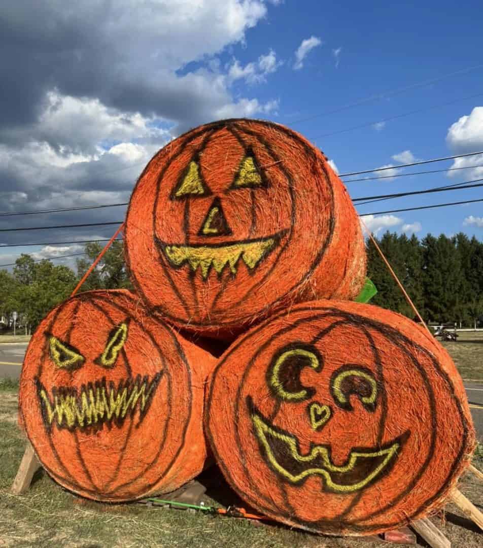 25 Great Pumpkin Patches in NJ for 2025