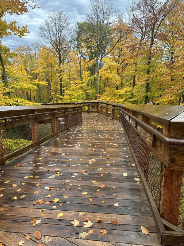 Door County Fall Colors: Best Things to Do (2025)