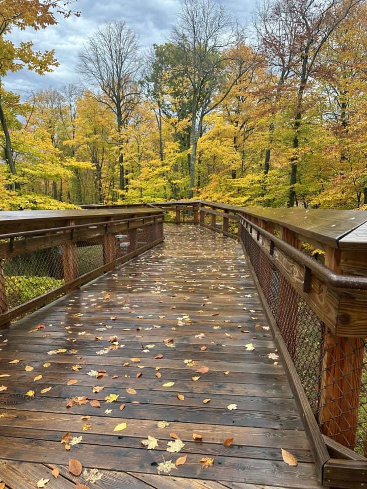 Door County Fall Colors: Best Things to Do (2025)