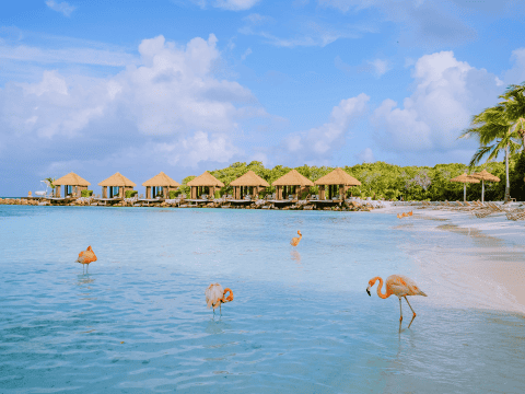 25 Really Fun Things to do in Aruba with Kids on Vacation
