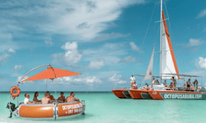 25 Really Fun Things to do in Aruba with Kids on Vacation