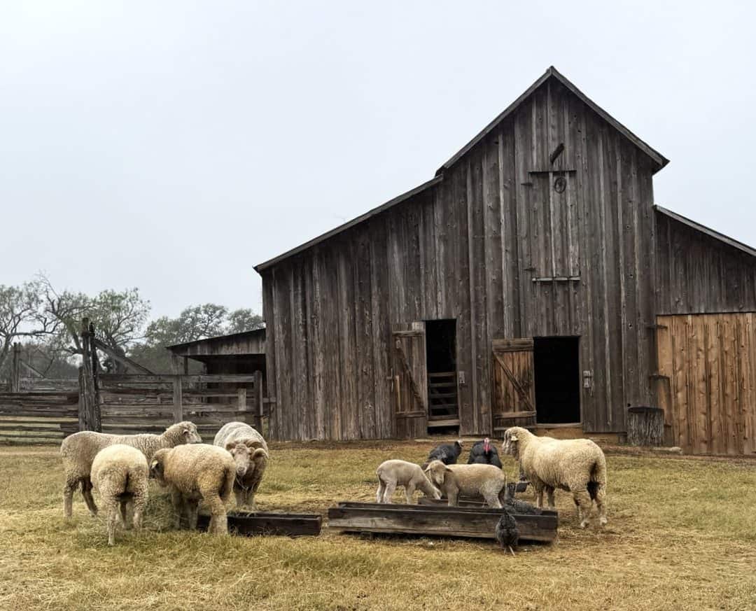 A Fredericksburg Family Getaway in Texas Hill Country